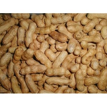 Amazon.com: Peanuts (in-The-Shell) Bird Feed - 10 lb Bag: Garden & Outdoor