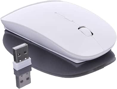 - Ratón Mouse Inalámbrico sin Cables Extraplano Diseño Mac con Acabado ...