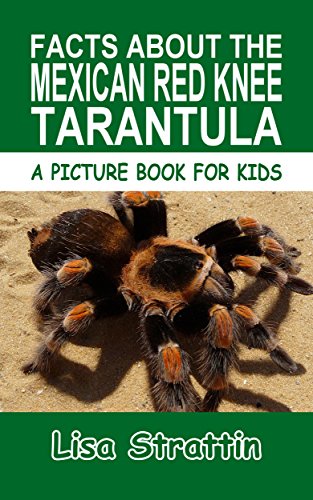 Cute Facts About Tarantulas cute-facts-about-tarantulas