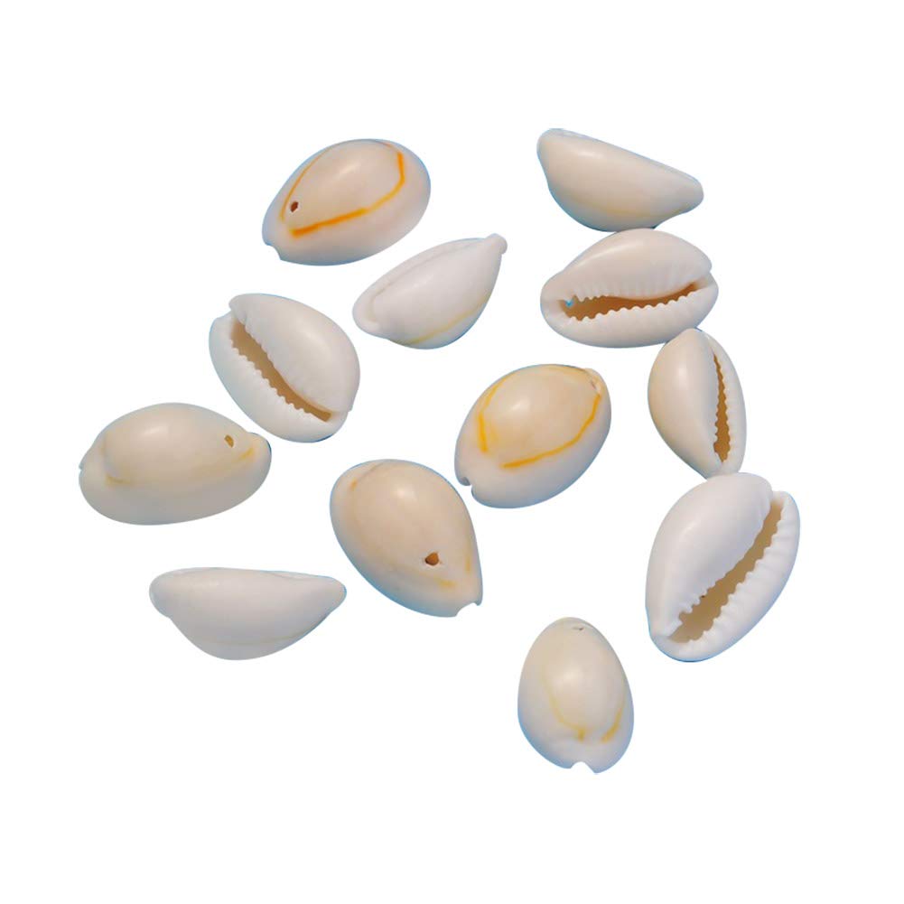 NBEADS 50 Pcs Shell, 16×12mm Cowrie Shell Oval Shell Beads with Hole ...
