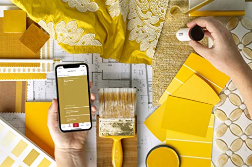 Datacolor ColorReader – Identify Paint Color Instantly - Color Matching ...