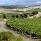 Napoleon Wasn't Exiled: A Wine and Travel Journal By Victor Rallo Jr ...