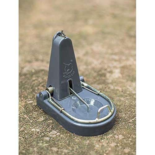 Black Cat Rat Trap:Mouse Catch (Grey,1 Rat Trap) - Car And Bike Care