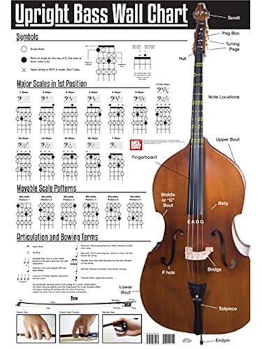 Mel Bay Upright Bass Chart - Wall Chart for Upright Bass in Kenya ...