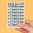 Essential Bass Theory Chart Version 2 (UPDATED & REVISED) • Bass ...