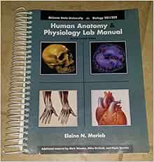 Human Anatomy & Physiology Lab Manual Second Custom Edition: Elaine N. Marieb: 9780536967367 ...