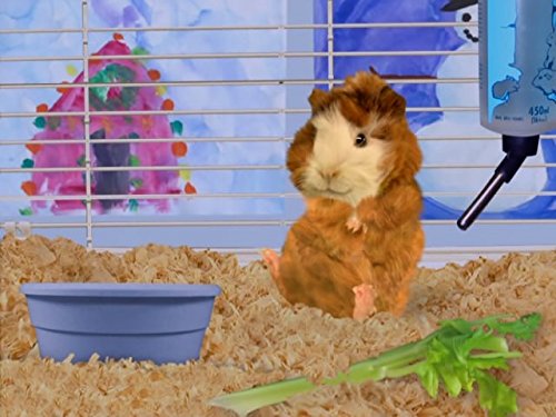 Watch Wonder Pets - Season 1 (English voice over) | Prime Video