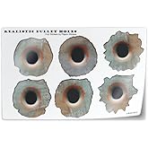 Amazon.com: Realistic Bullet Hole (Bullethole) 3D Stickers - Small ...