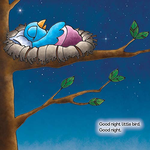 Good Night Little Turtle | Pricepulse