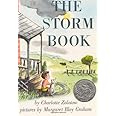 The Storm Book: A Caldecott Honor Award Winner: Zolotow, Charlotte ...