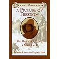 A Picture of Freedom: The Diary of Clotee, a Slave Girl, Belmont ...
