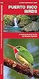 A Guide to the Birds of Puerto Rico and the Virgin Islands: Revised ...