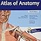 Atlas of Anatomy: 9781626232525: Medicine & Health Science Books ...