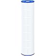 Amazon.com : Future Way CS200 Pool Filter Cartridge Replacement for ...