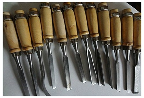 Wood Carving Hand Chisel Tools 12 Piece Set Woodworking Professional ...
