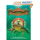 The Fantastic Secret of Owen Jester: Barbara O'Connor: 9780312674304 ...