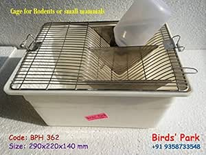 Amazon.com : Lab Animal Rat MICE Polypropylene Breeding Cages - Good ...