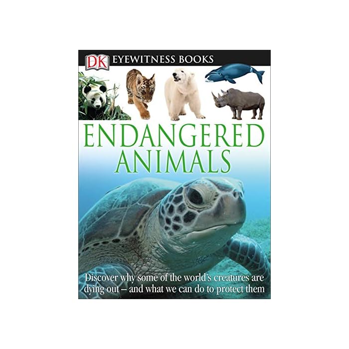 Buy DK Eyewitness Books: Endangered Animals: Discover Why Some of the ...