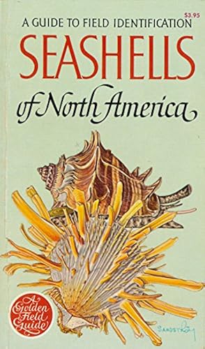 A Guide to Field Identification Seashells of North America in Oman ...