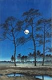 Amazon.com: Japanese Art Print - Hachirogata Lake, Akita, at Night ...