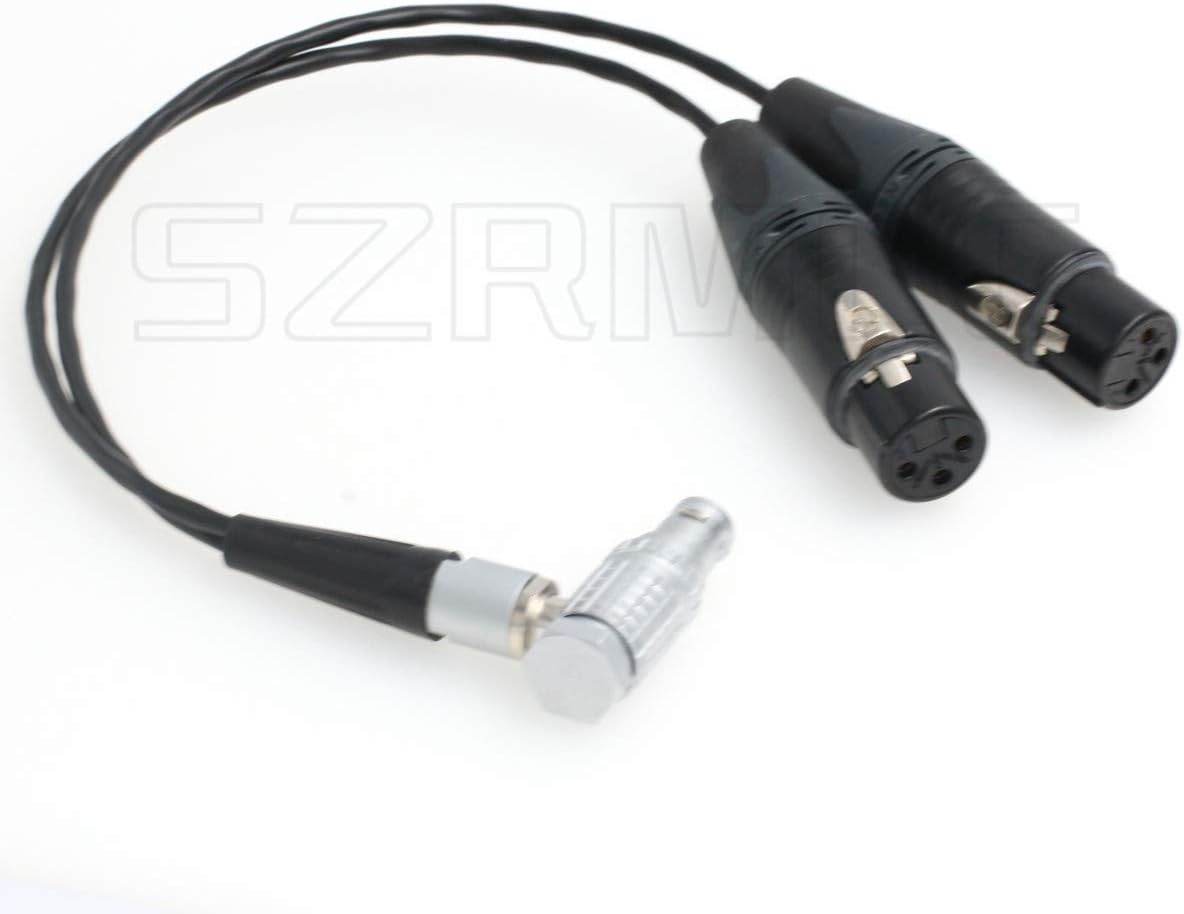 SZRMCC Mic Audio Breakout Input Cable Right Angle 10 pin Male to Dual ...