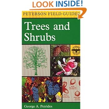 Amazon.com: A Field Guide to Eastern Trees: Eastern United States and ...