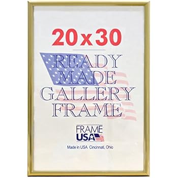 Amazon.com - Deluxe Poster Frame, 24 x 36, Gold - Picture Frame Sets