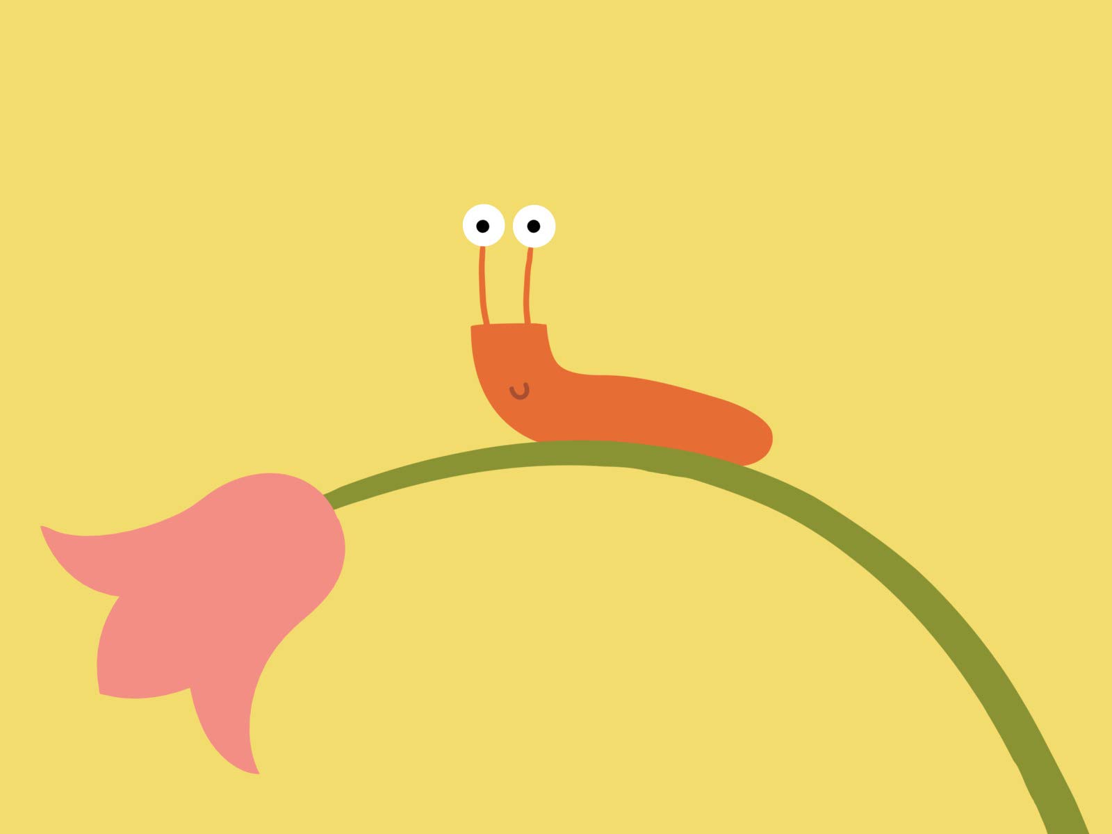 Watch Animanimals | Prime Video