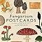 Fungarium Postcards: Welcome to the Museum: Amazon.co.uk: Scott, Katie ...