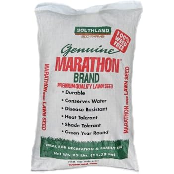Amazon.com : Marathon Grass Seed Can, 1 lb : Garden & Outdoor