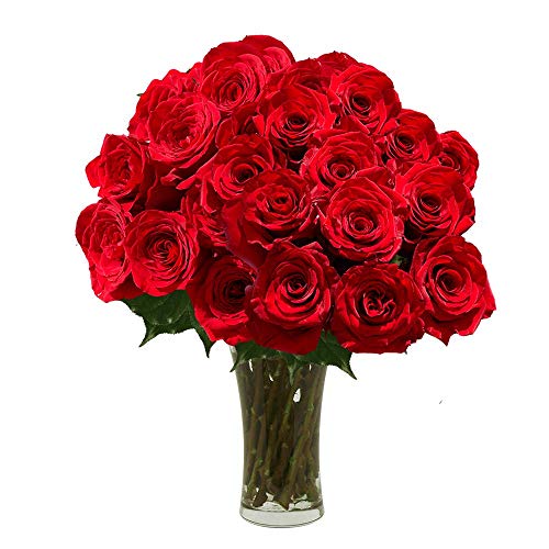 2 Dozen Red Roses- Fresh Flowers| Guaranteed Delivery | Pricepulse