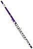 120-PR - PURPLE/NICKEL Keys Closed C Flute Lazarro+Pro Case,Care Kit ...