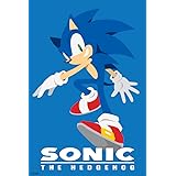 Amazon.com: Pyramid America Sonic The Hedgehog Sonic 2 Video Game ...