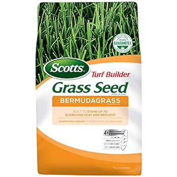 Amazon.com : Princess 77 Bermuda Grass Seed - 1 Lb. : Garden & Outdoor