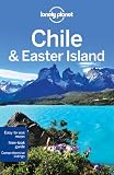 The Rough Guide to Chile: Shafik Meghji, Anna Kaminski: 9781405389808 ...