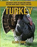 All About Turkeys: Jim Arnosky: 9780590481472: Amazon.com: Books