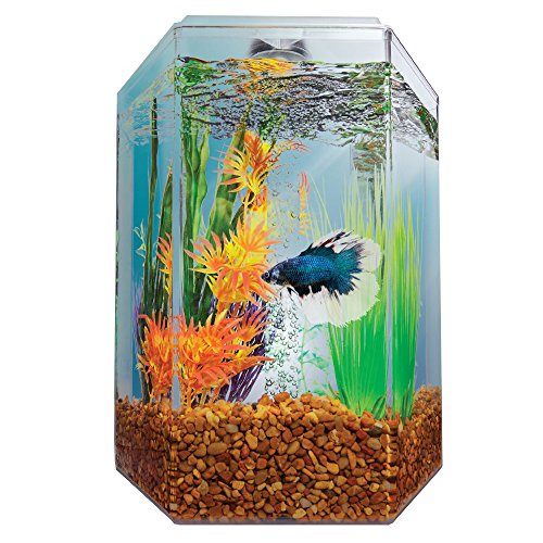 Hexagon Fish Tank for sale | Only 3 left at -60%