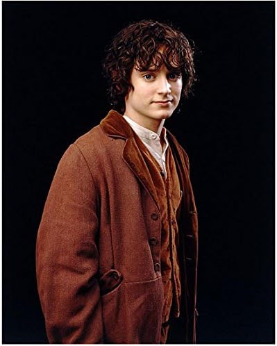 Elijah Wood as Frodo body facing to the right with slight smile 8 x 10 ...