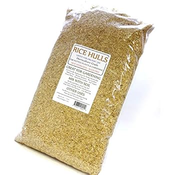 Amazon.com: Rice Hulls - Organic Use – 1.5lb Bag - House Plants ...