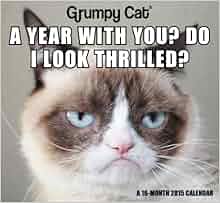 Grumpy Cat Mini Calendar (2015): Day Dream: 9781629050942: Amazon.com ...