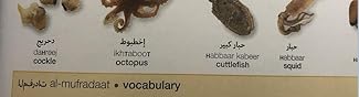Arabic-English Bilingual Visual Dictionary (DK Bilingual Visual ...