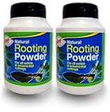 Cutting Globe Plant Propagator 11 Piece Set - Grow Roots on Plant ...