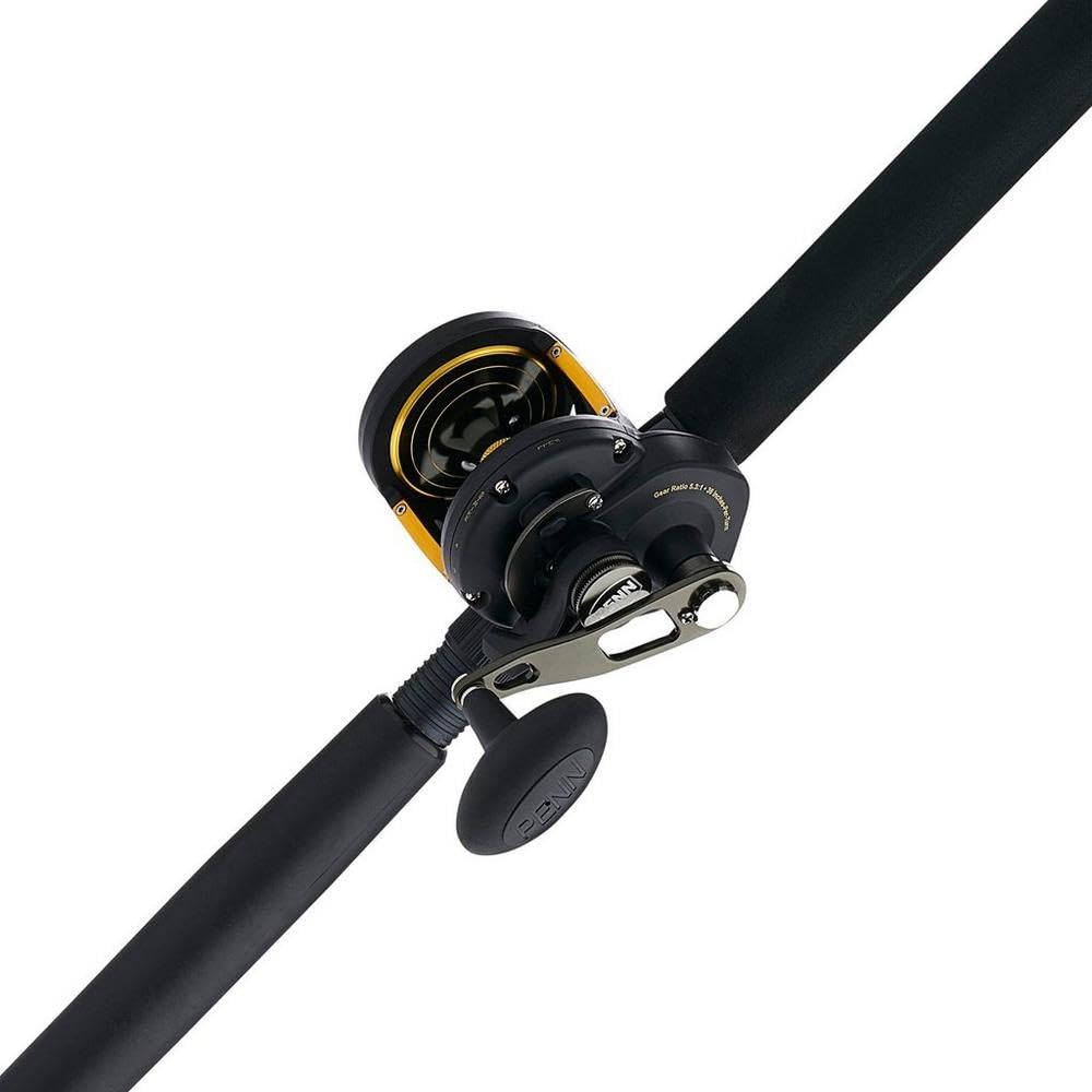 PENN 7' Squall II Lever Drag Fishing Rod & Size 30 Reel Combo, Medium ...