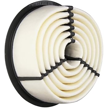Amazon.com: Toyota Genuine Parts 17801-70010 Air Filter: Automotive