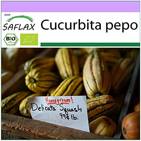Organic - Squash - Delicata - 6 Seeds - Cucurbita Pepo price in Saudi ...