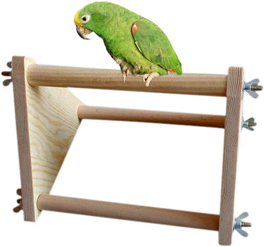 Amazon.com : Parrot Wood Perch for Bird Macaw African Greys Budgies ...