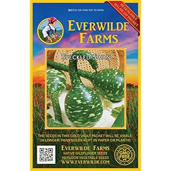 Amazon.com : Everwilde Farms - 25 Speckled Swan Gourd Seeds - Gold ...