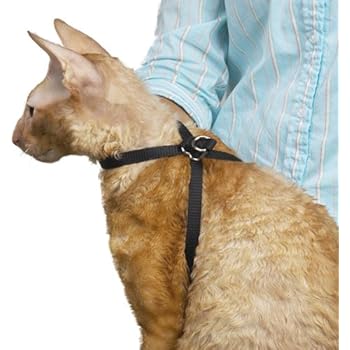 Pet Supplies : Cat Restraint, Cat Grooming Restraint, Cat Bathing ...