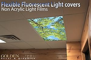 Forest Canopy View - 2ft x 4ft Drop Ceiling Fluorescent Decorative ...
