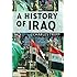 Understanding Iraq: The Whole Sweep of Iraqi History, from Genghis Khan ...